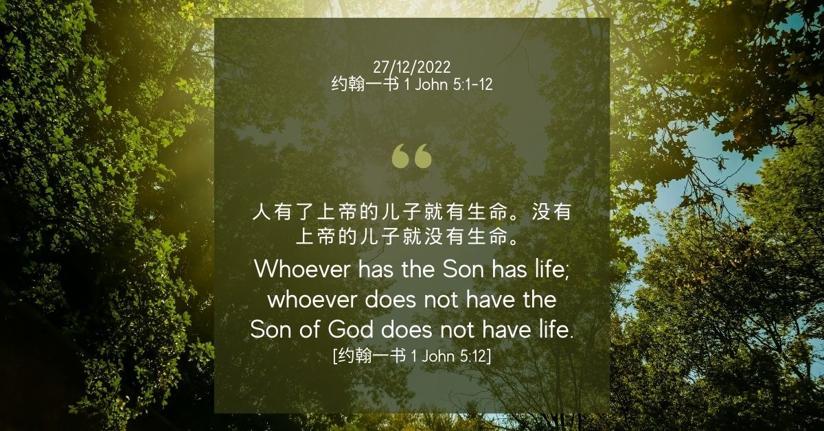 1 John 5 1 12 FMC 1-john-5-1-12-fmc