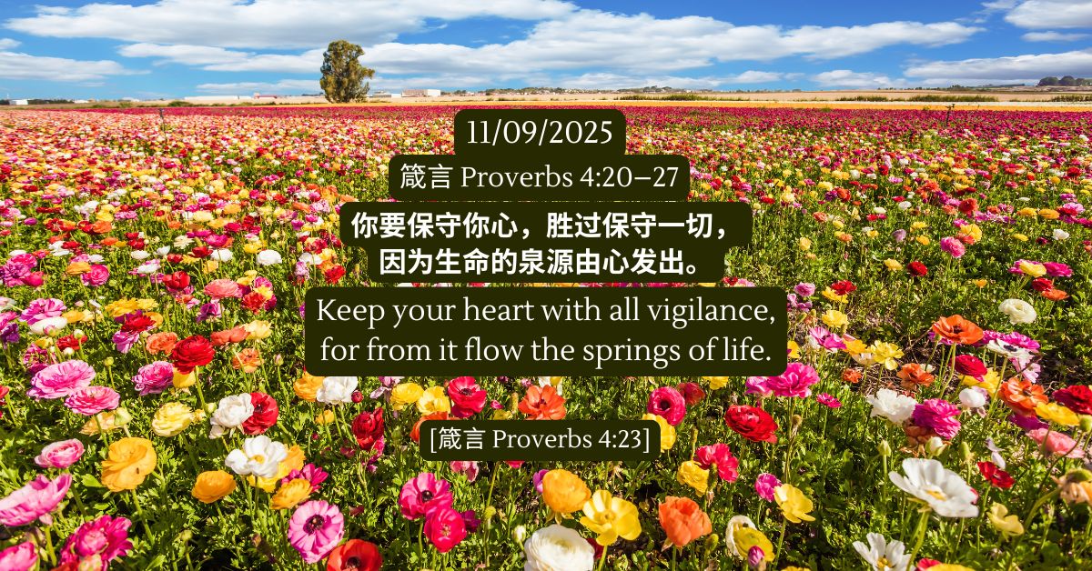 Proverbs 4:20–27 - FMC