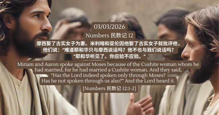 Numbers 12 - FMC